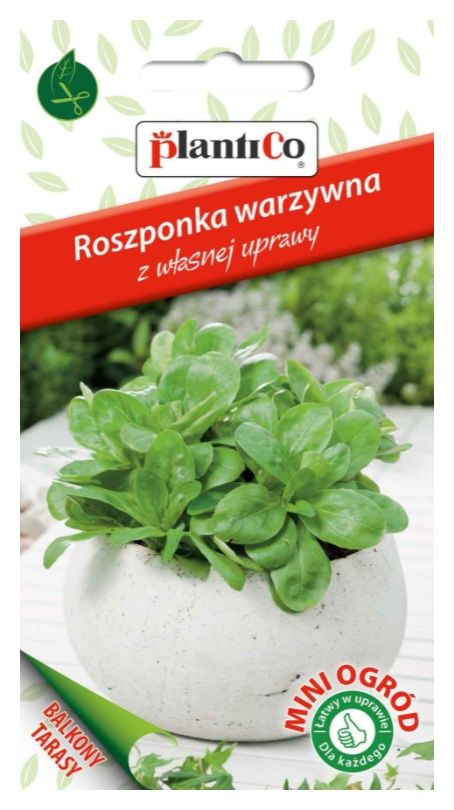NASIONA ROSZPONKA 5g Mini Ogród Plantico | Sklepogrodniczy.pl